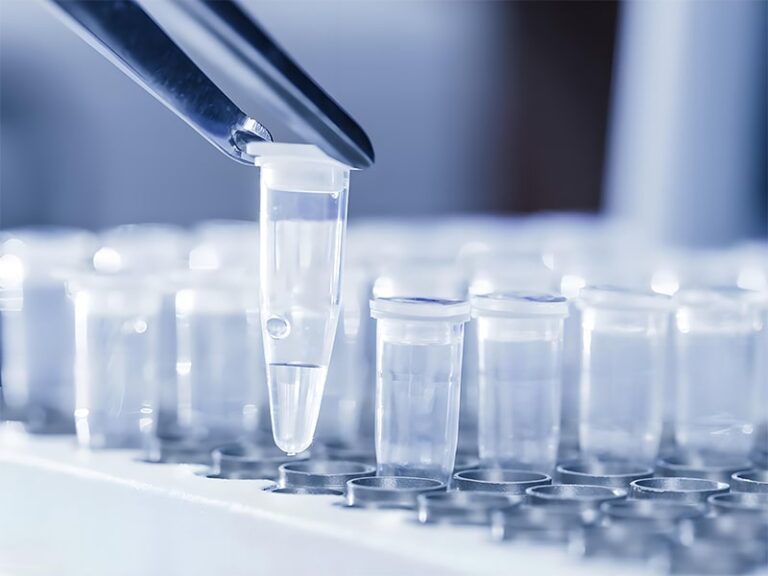 What is an EP Tube (Eppendorf Tubes)? How to Fill Them Efficiently-SFXB ...