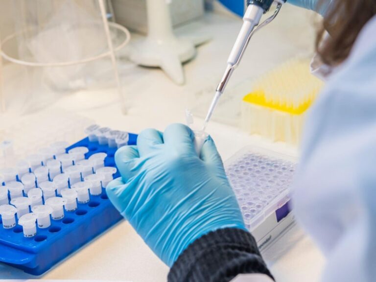 What is an EP Tube (Eppendorf Tubes)? How to Fill Them Efficiently-SFXB ...