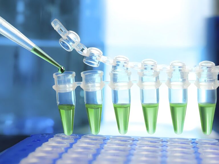 What is an EP Tube (Eppendorf Tubes)? How to Fill Them Efficiently-SFXB ...